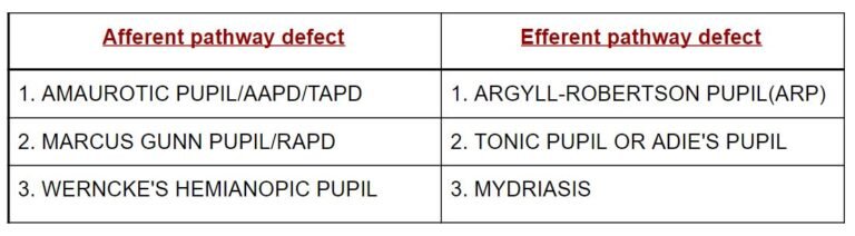Light Reflex Pathway And Defects | Medical Junction